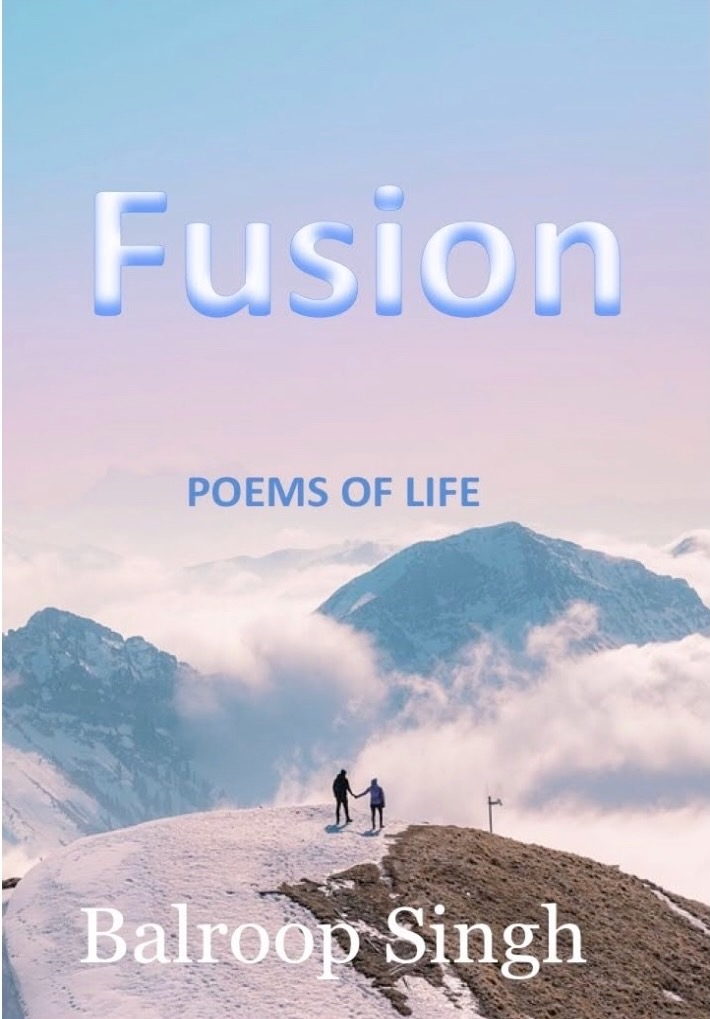 Person Liberation/Review of Earthly Days by Balroop Singh | Gulf Coast Poet